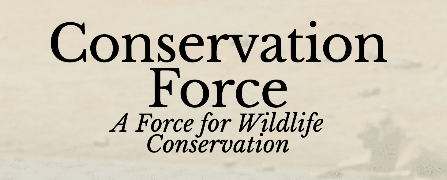 Conservation Force: End of Year Report 2020 - Safari Club International ...